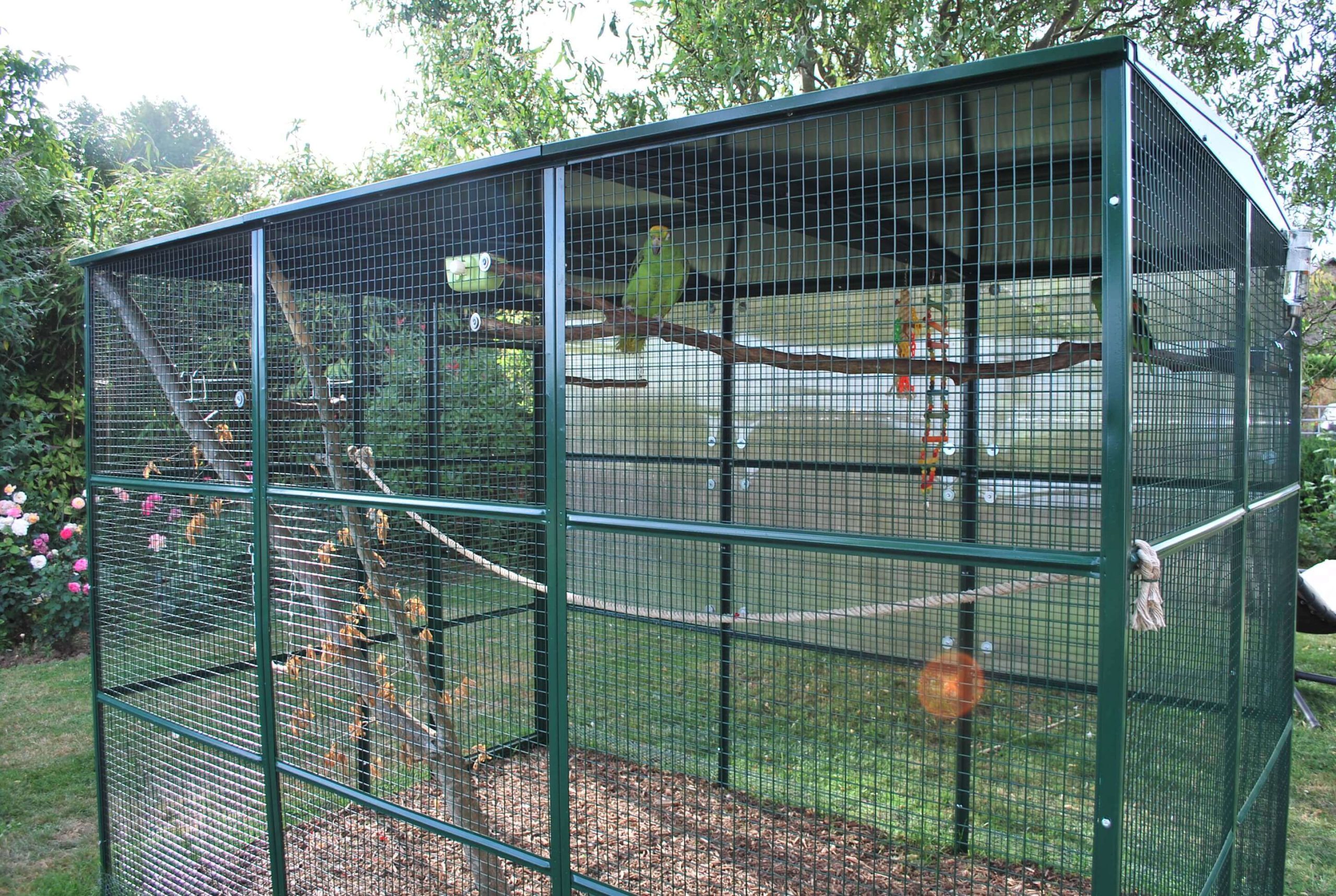 Quels sont les avantages d'une volière ? - Colony&Co