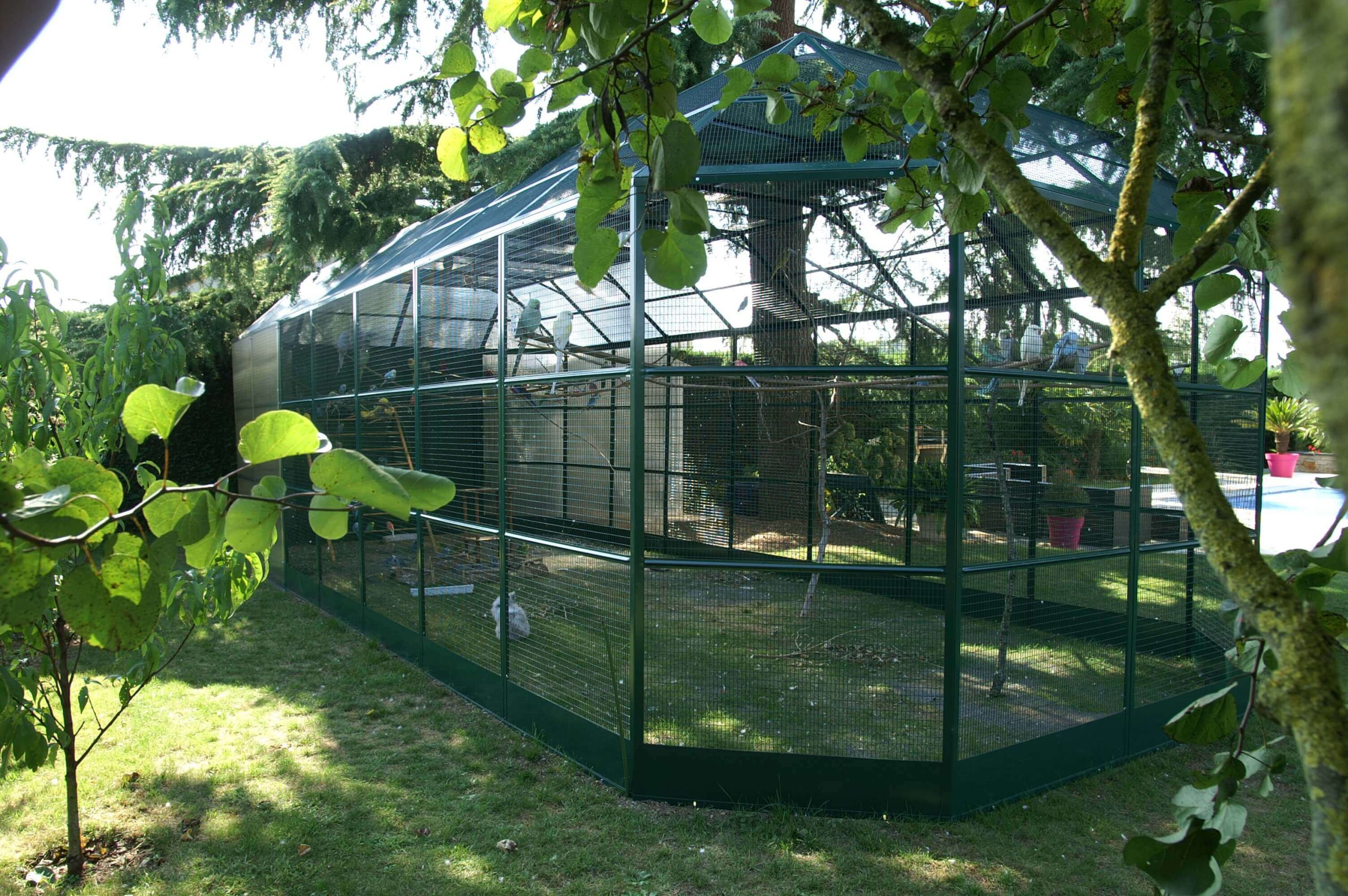 Les volières extérieures: pour quels animaux ? - Colony&Co